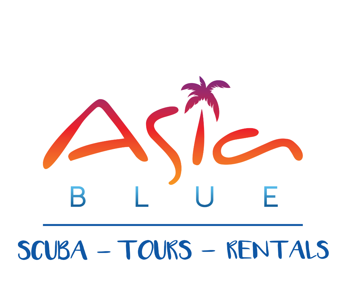 Our References | Go Asia Blue